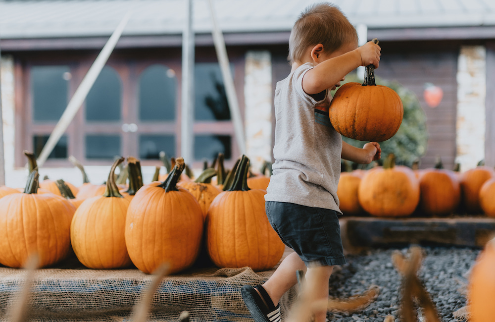 Best Pumpkin Patches & Corn Mazes Near Asheville, NC