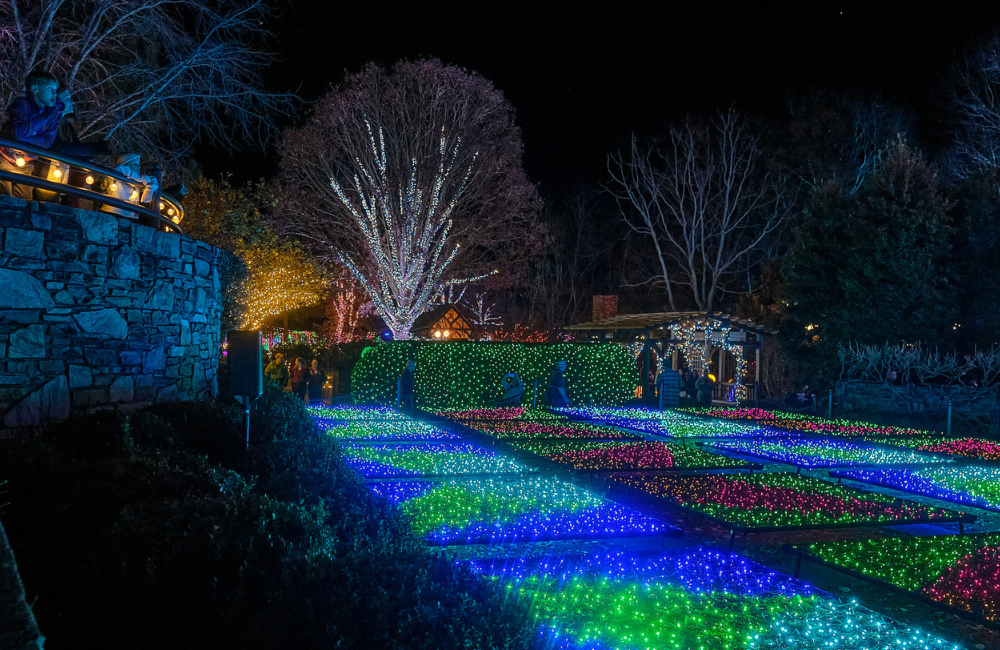 winter lights arboretum