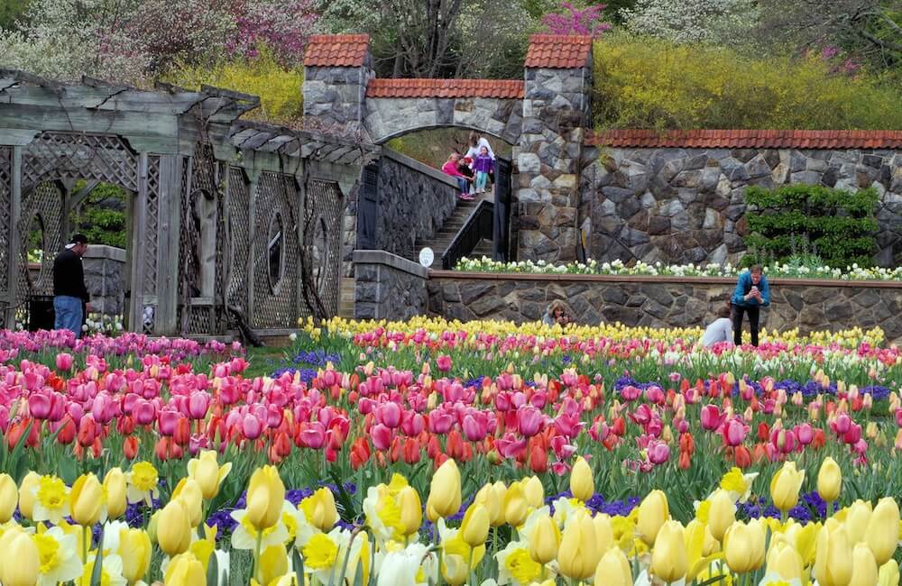 Top 40 Asheville Spring Events & Festivals