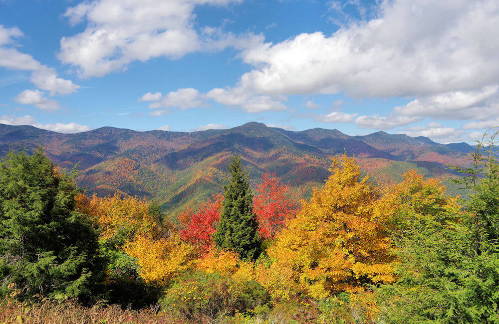 16 Quick Hikes, Blue Ridge Parkway | RomanticAsheville.com