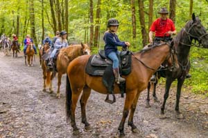 Horseback Riding In and Around Bryson City | RomanticAsheville.com