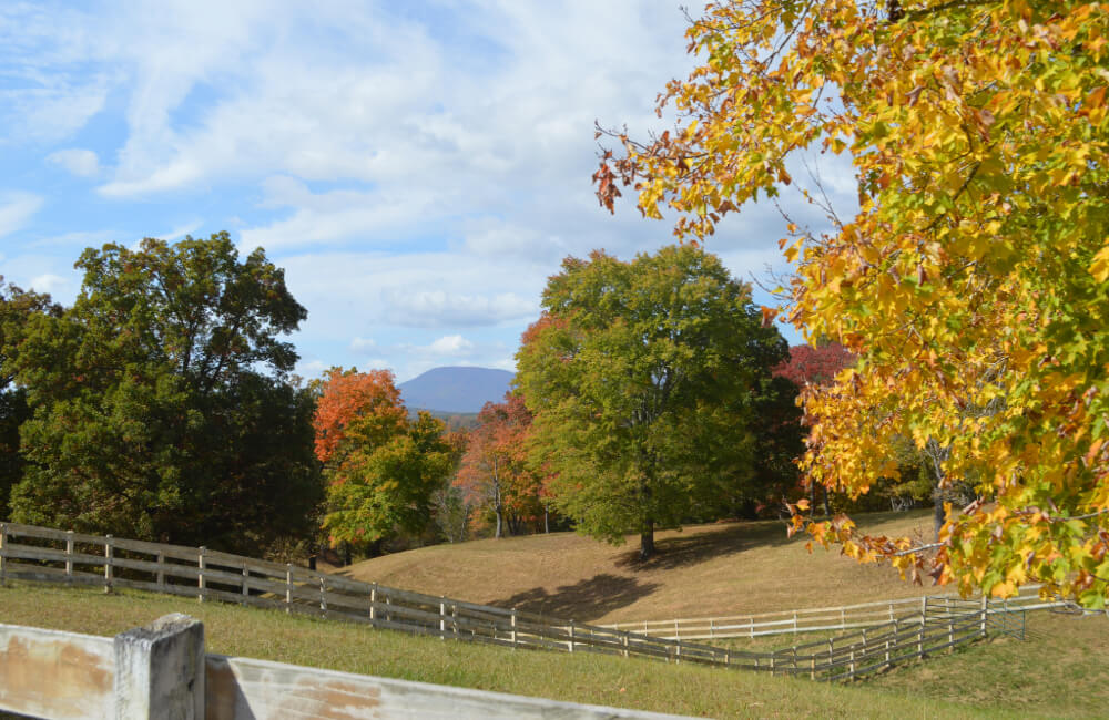 Tryon, NC, Things to Do