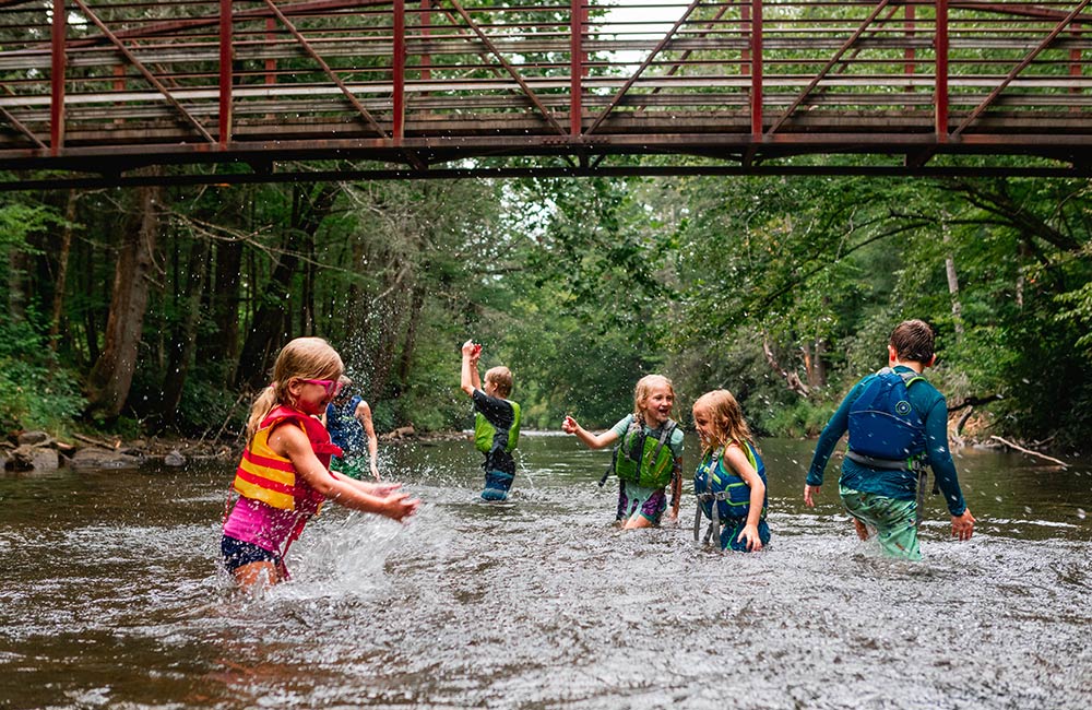 Dive into Brevard: The Best Natural Swimming Spots in WNC ...