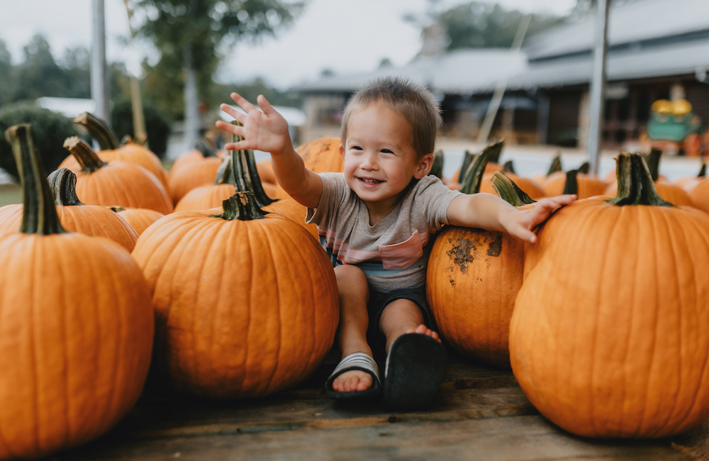 Best Pumpkin Patches & Corn Mazes Near Asheville, NC