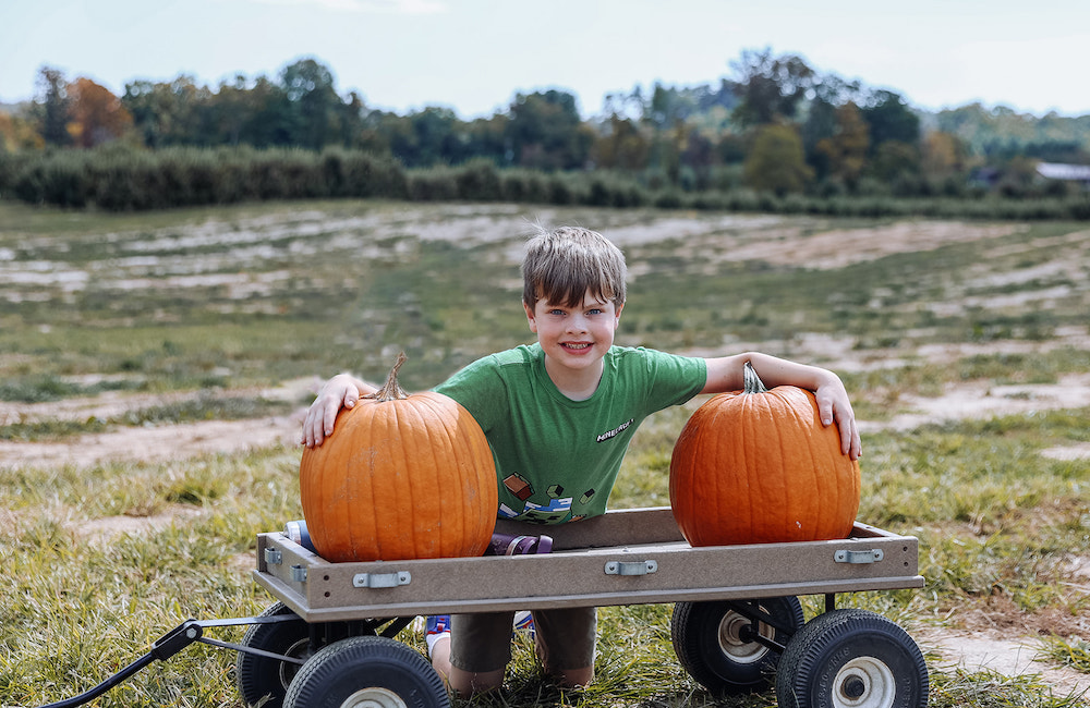 Best Pumpkin Patches & Corn Mazes Near Asheville, NC