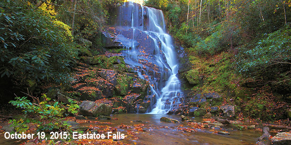 Asheville NC Fall Foliage Color Leaf Report 2016