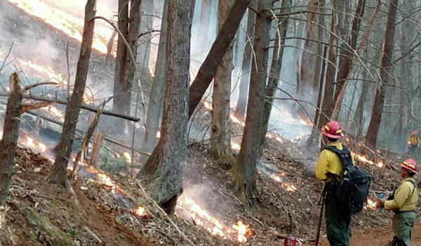 Forest Fire Updates, Western North Carolina