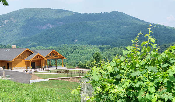 Hendersonville Wineries near Asheville