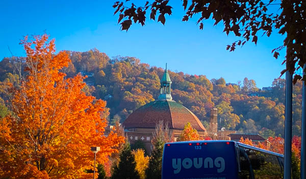 Fall Color Forecast Asheville & NC Mountains 2022